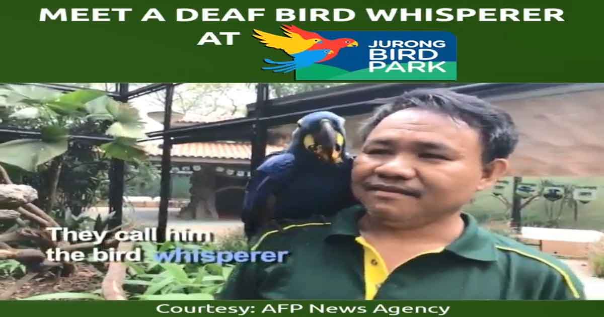 Meet Singapore's Deaf Bird Whisperer At Jurong Bird Park