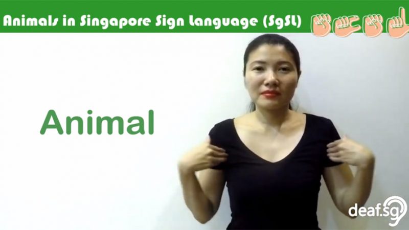 Singapore Sign Language (SgSL) Lesson: Months Of The Year